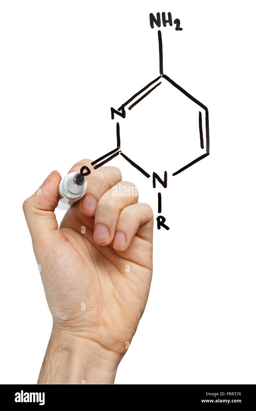 hand drawing molecule structure of nucleic acid bases on a virtual ...