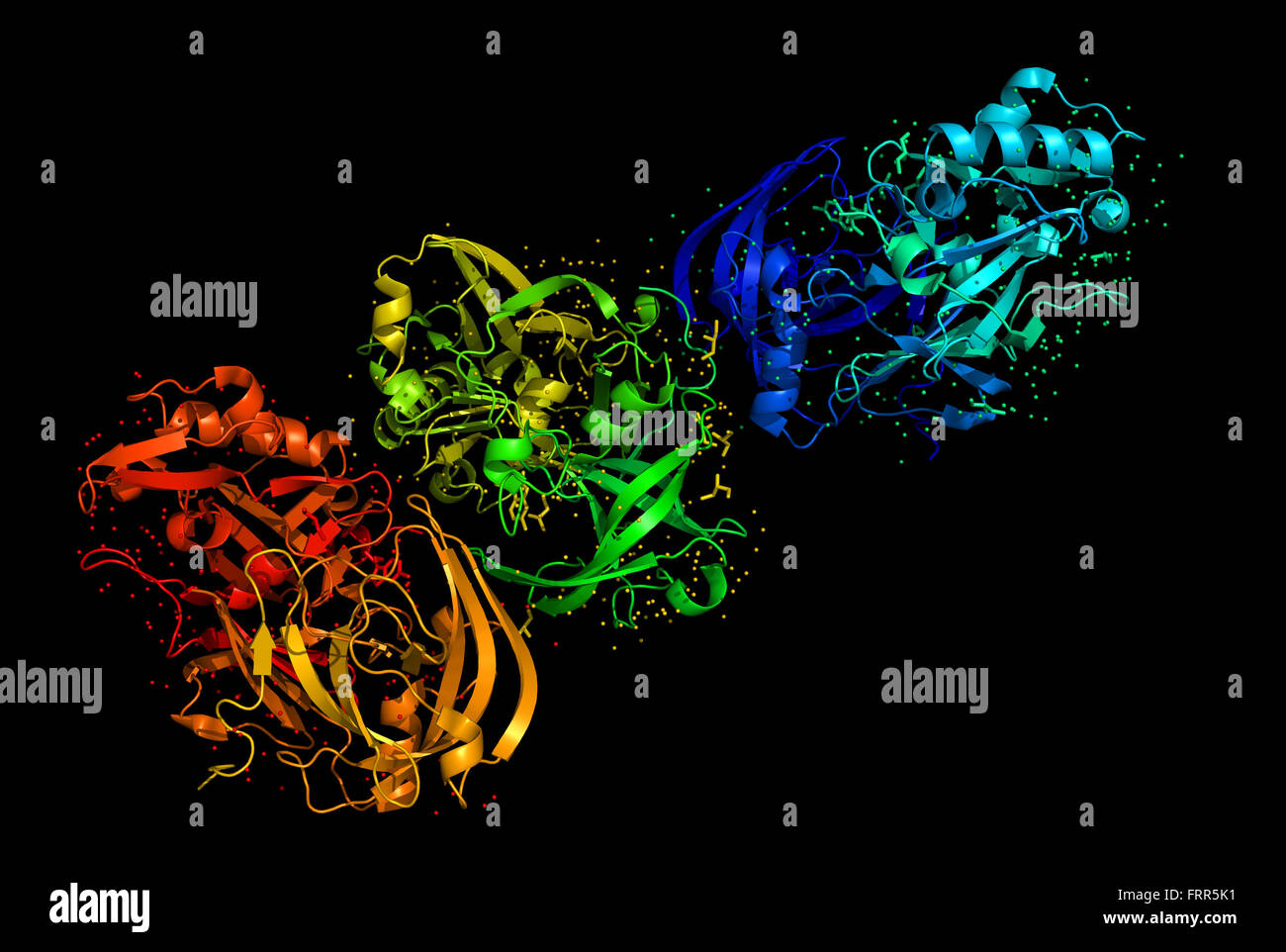 A high resolution raytraced ribbon model of beta-secretase - a protein ...