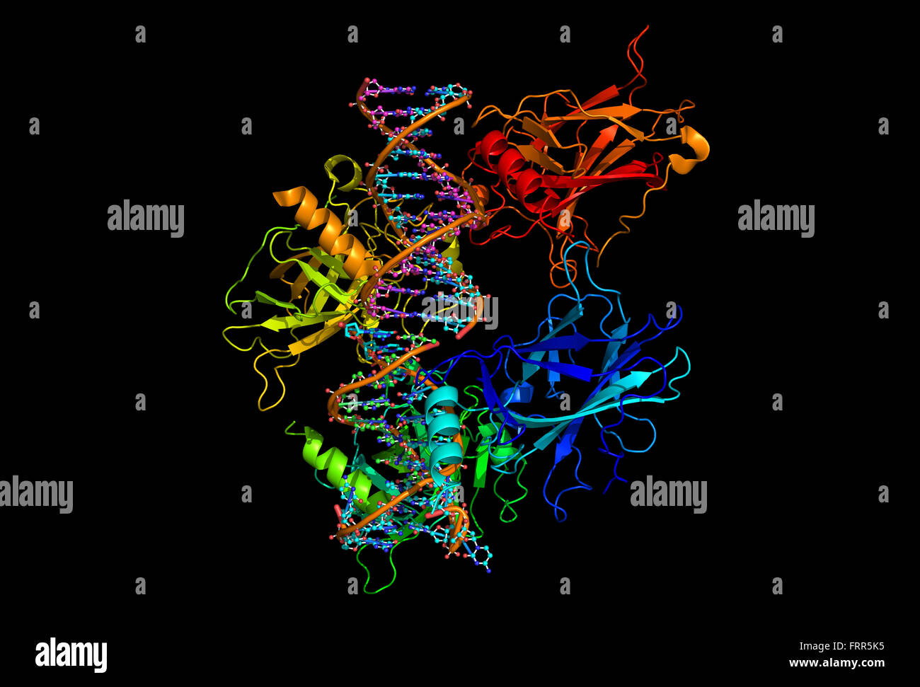 A molecular ribbon model hi-res stock photography and images - Alamy