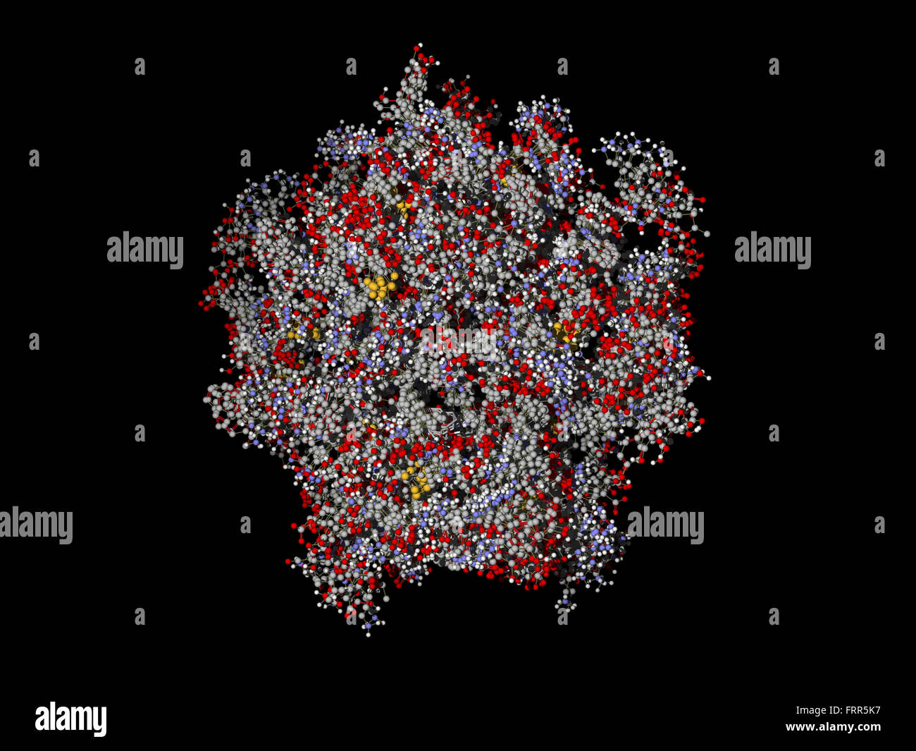 Human hemoglobin ball and stick model render, the protein in red blood ...