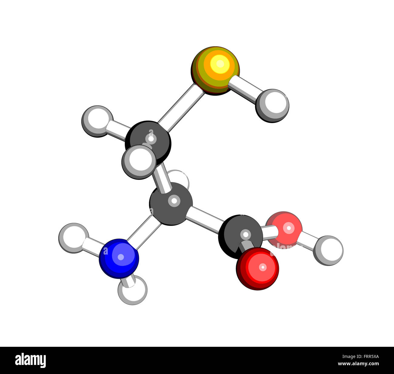 Cysteine Structure