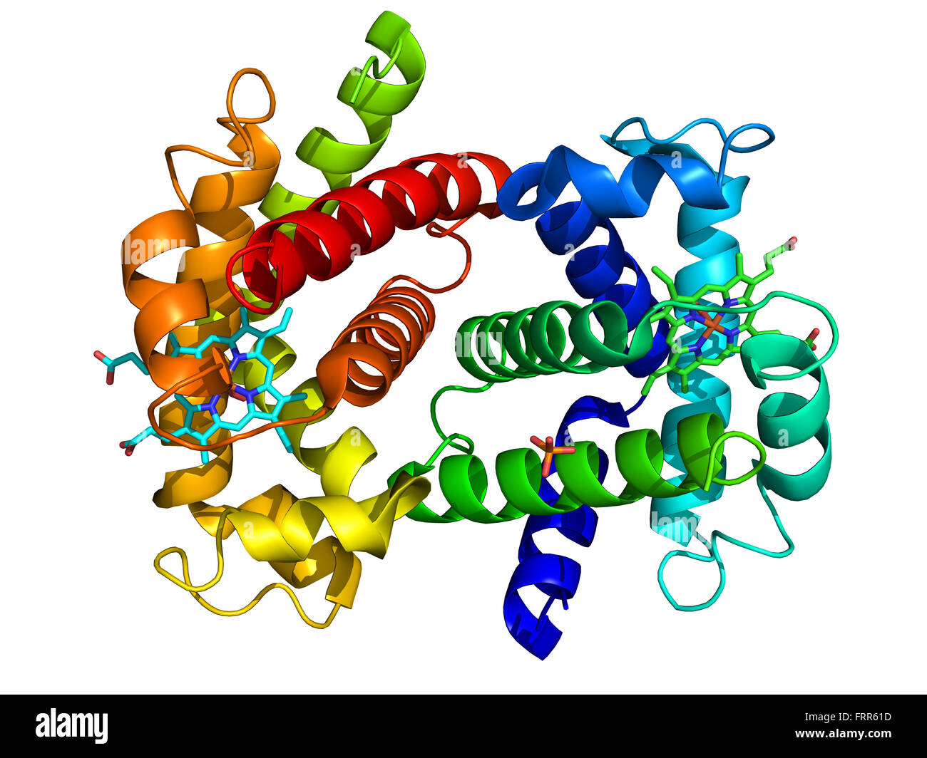 Hemoglobin molecular model Cut Out Stock Images & Pictures - Alamy