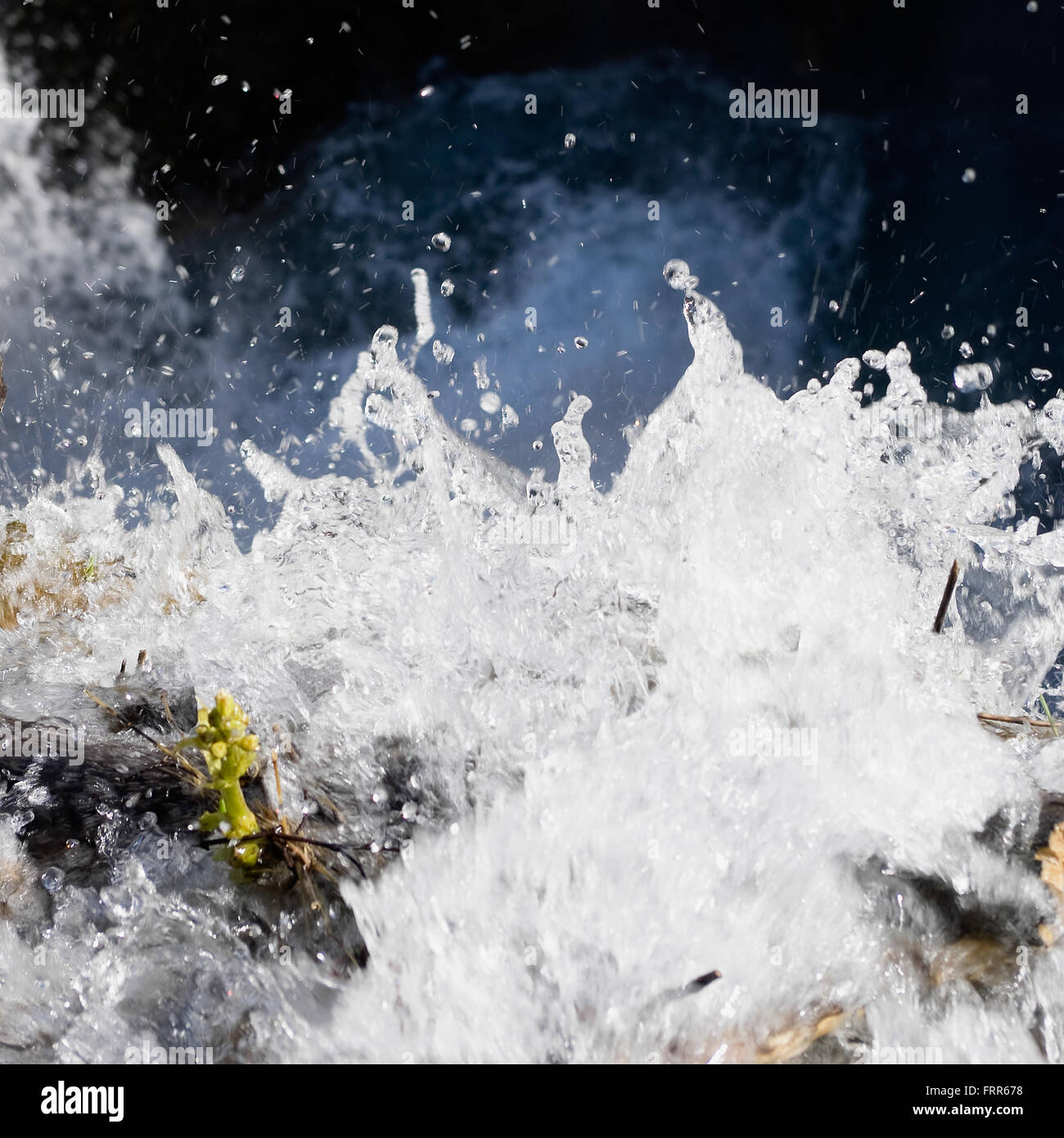 Water enviroment hi-res stock photography and images - Alamy