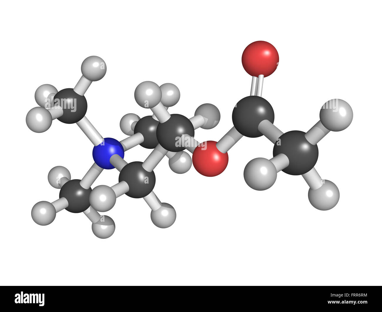 Acetylcholine ach neurotransmitter molecular model hi-res stock ...