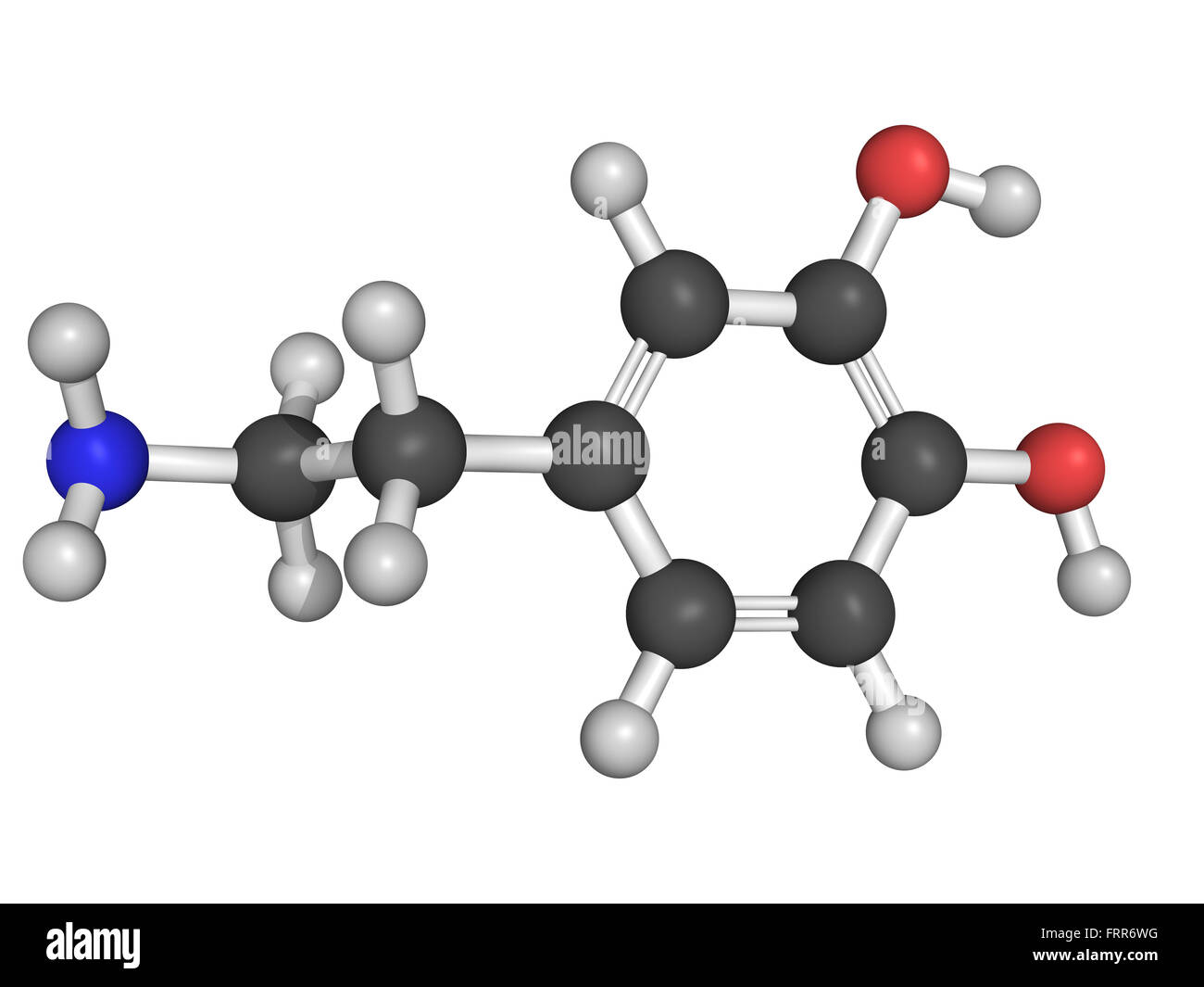 Dopamine neurotransmitter hi-res stock photography and images - Alamy