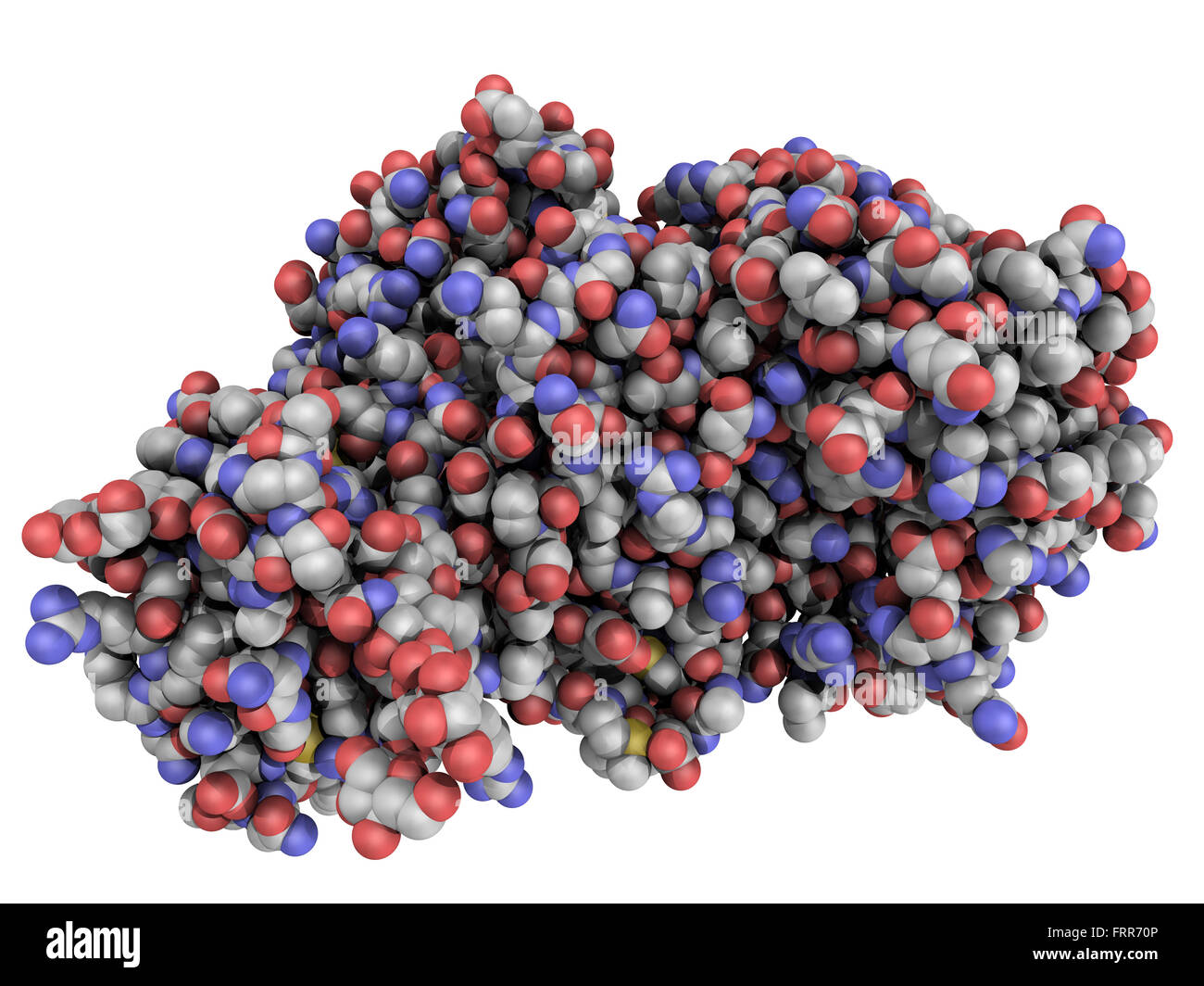 Chemical structure of ricin, a highly toxic, naturally occurring lectin ...