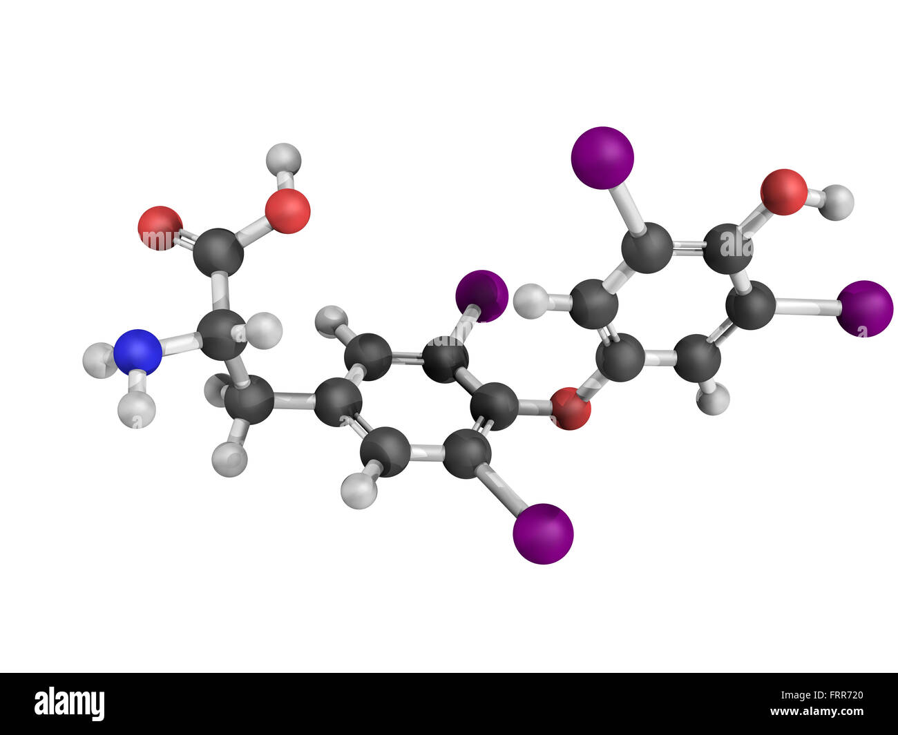 Thyroxine thyroid gland hormone molecule. Thyroxine is a thyroid gland ...