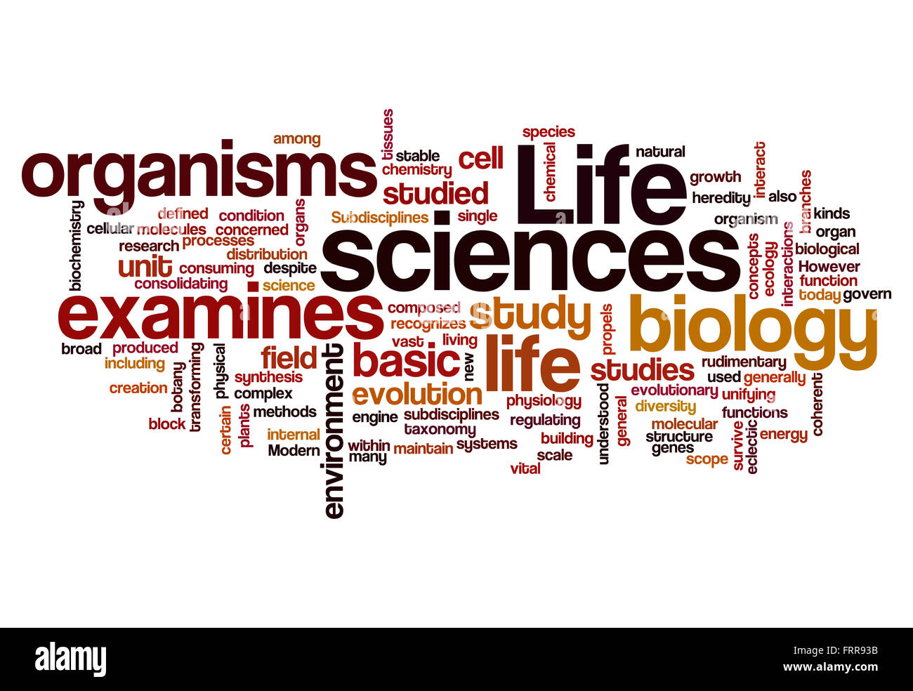 life sciences biology concept background on white Stock Photo - Alamy