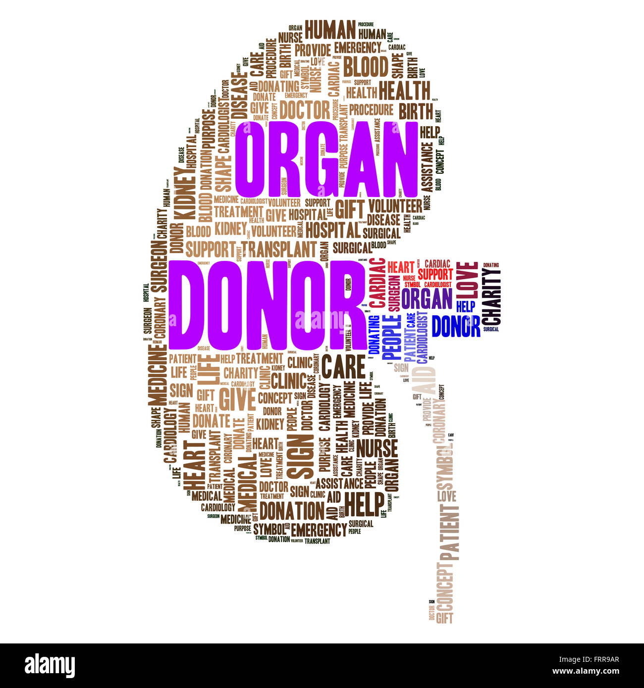Transplant organ concept Cut Out Stock Images & Pictures - Alamy
