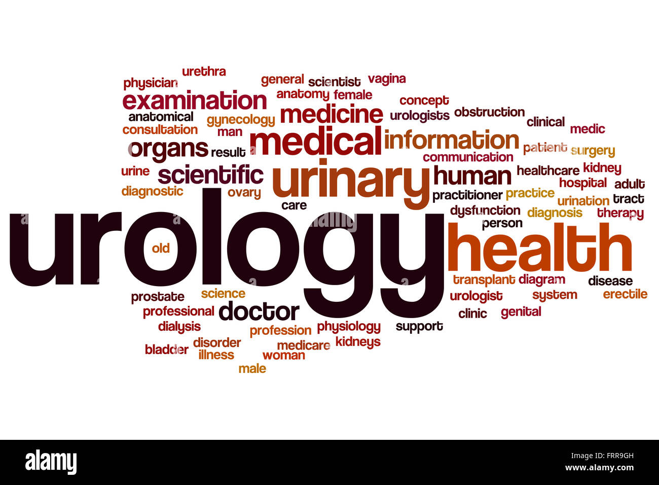 Urology word cloud concept Stock Photo - Alamy