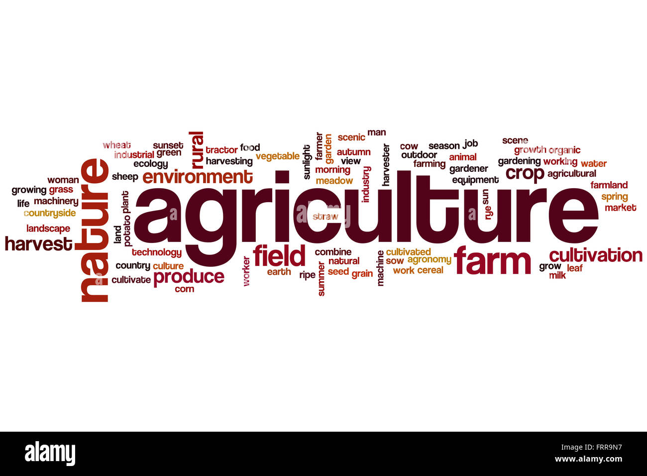 Agriculture word cloud concept Stock Photo - Alamy