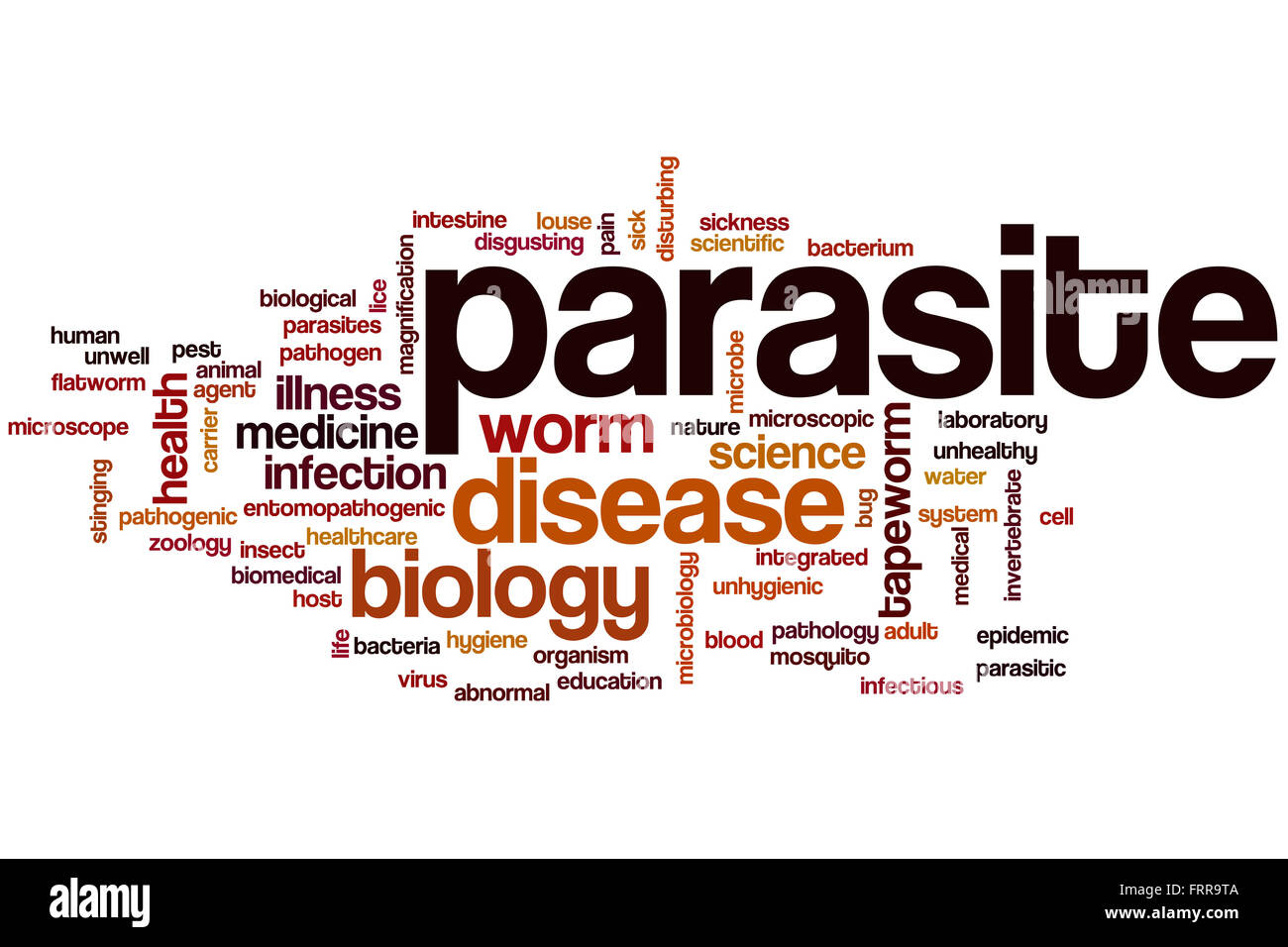 Parasite word cloud concept Stock Photo - Alamy