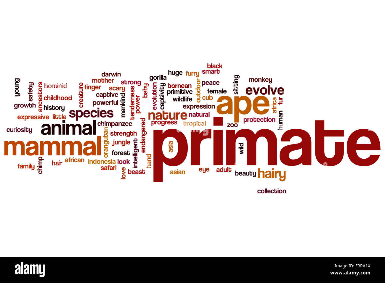 Human species concept hi-res stock photography and images - Alamy