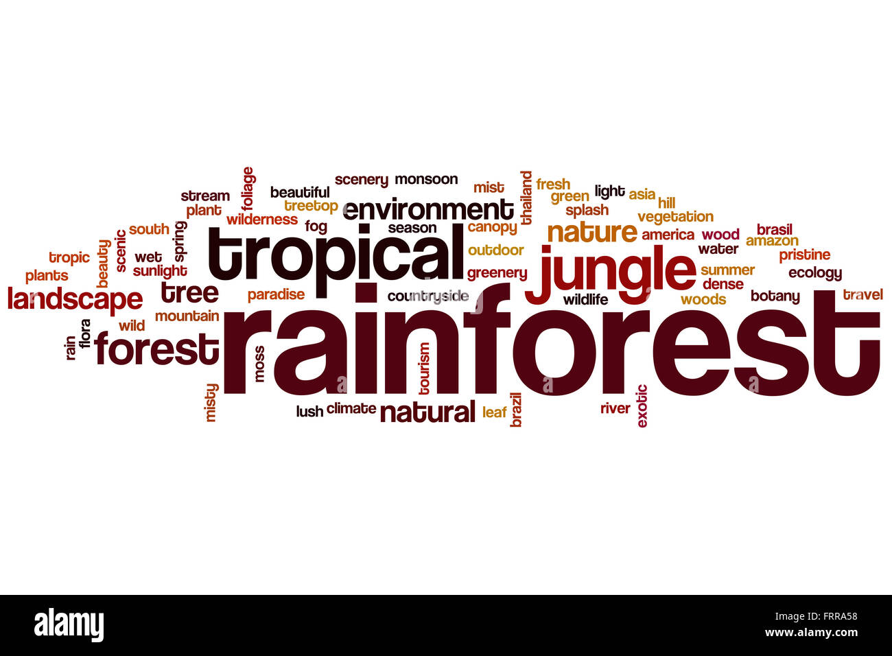 Rainforest word cloud concept Stock Photo - Alamy