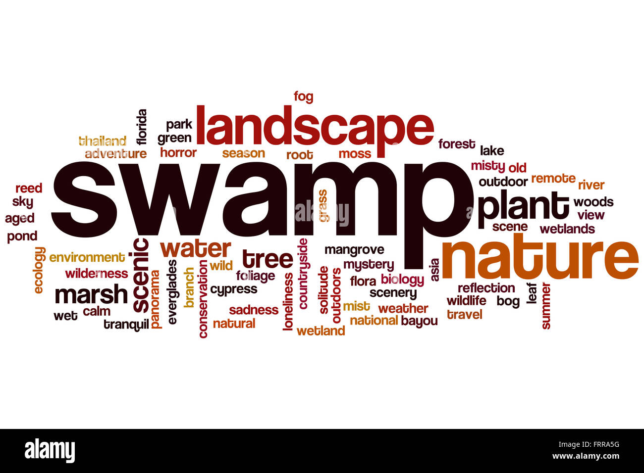Swamp word cloud concept Stock Photo - Alamy