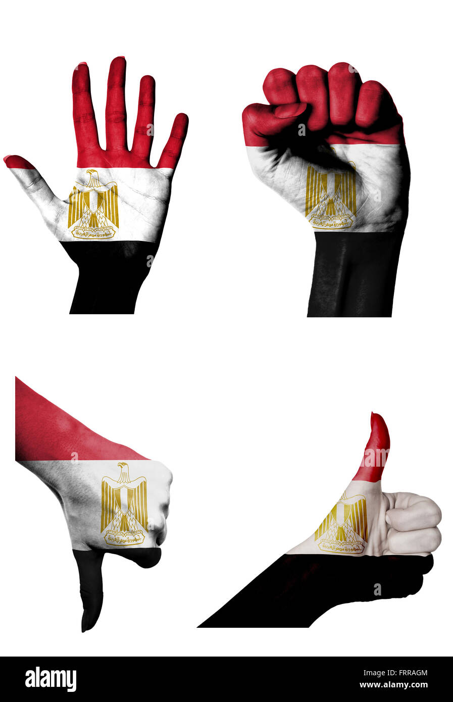 hands with multiple gestures (open palm, closed fist, thumbs up and ...