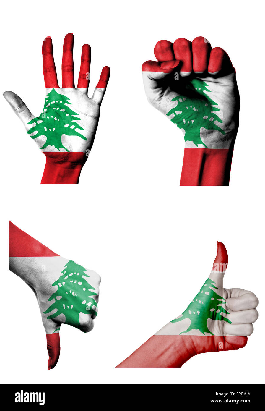hands with multiple gestures (open palm, closed fist, thumbs up and ...