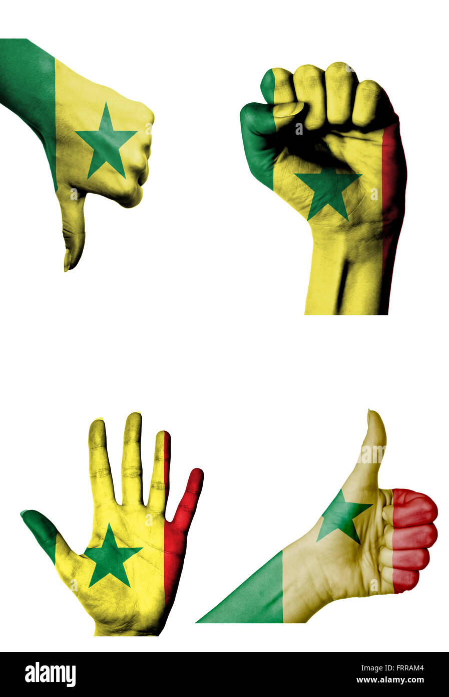 hands with multiple gestures (open palm, closed fist, thumbs up and ...