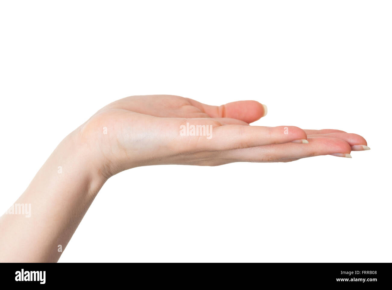 Female hand giving or wanting gesture isolated on white background ...