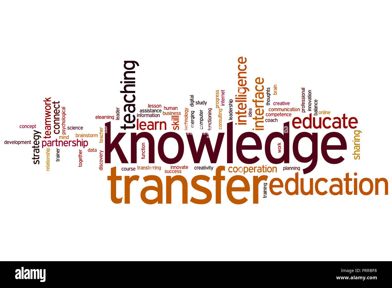 Knowledge Sharing Techniques