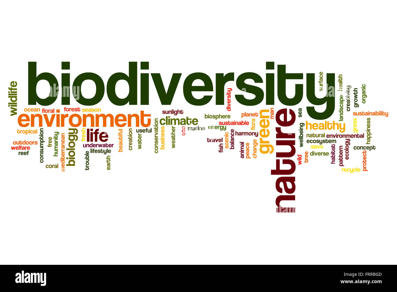 Ecology biodiversity Cut Out Stock Images & Pictures - Alamy