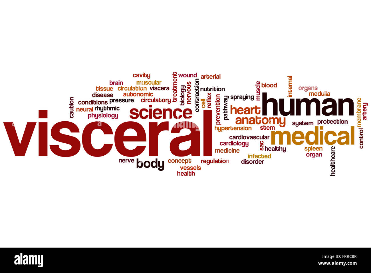Neural pathway hi-res stock photography and images - Alamy