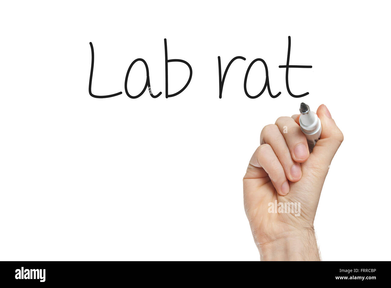 Lab rat hand hi-res stock photography and images - Alamy