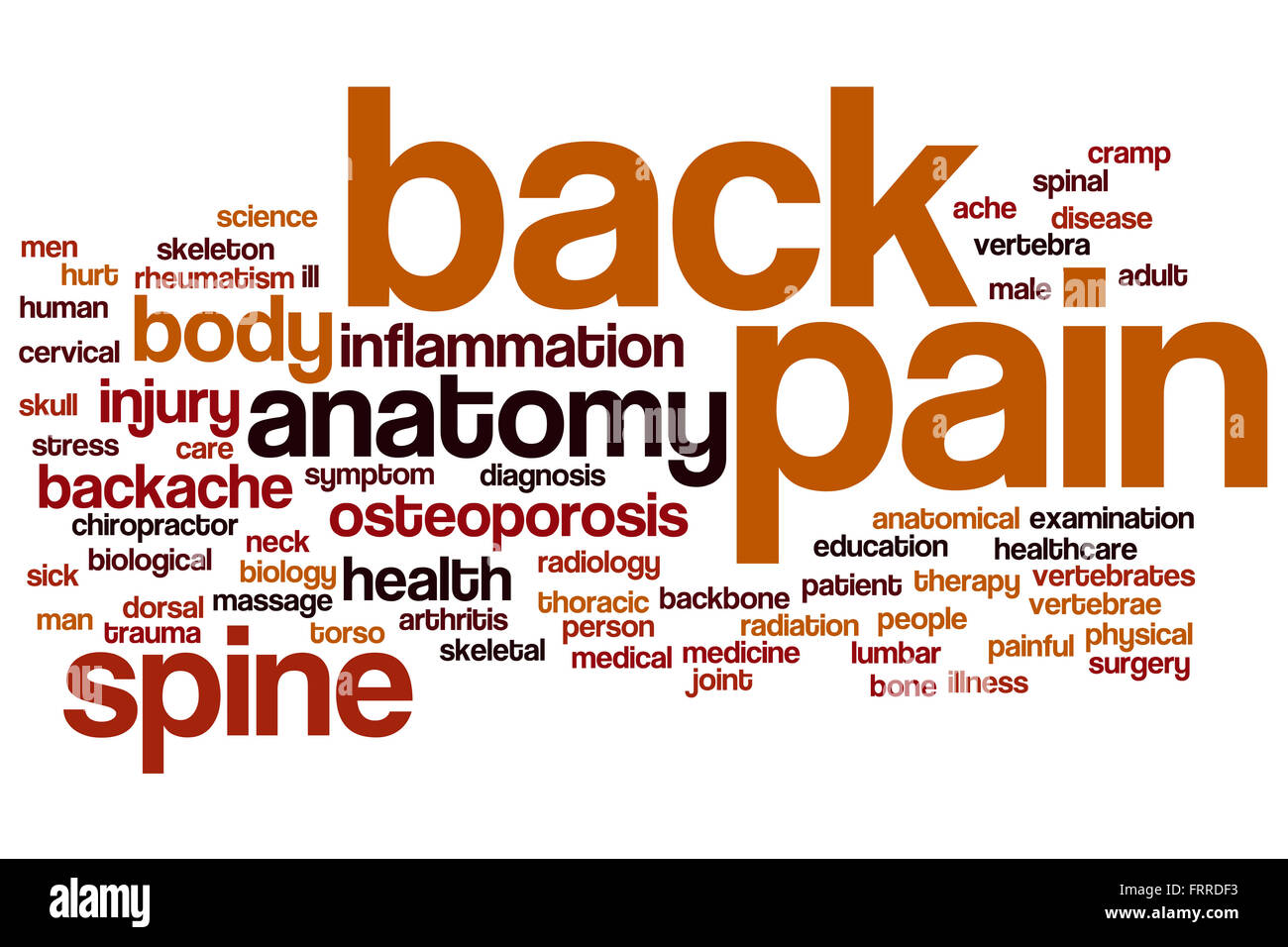 Back pain word cloud concept Stock Photo - Alamy