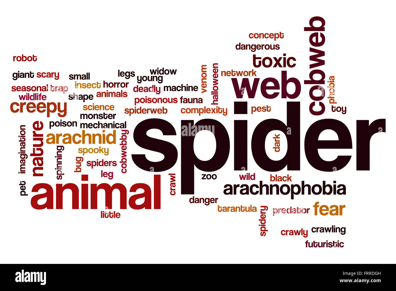 Spider word hi-res stock photography and images - Alamy