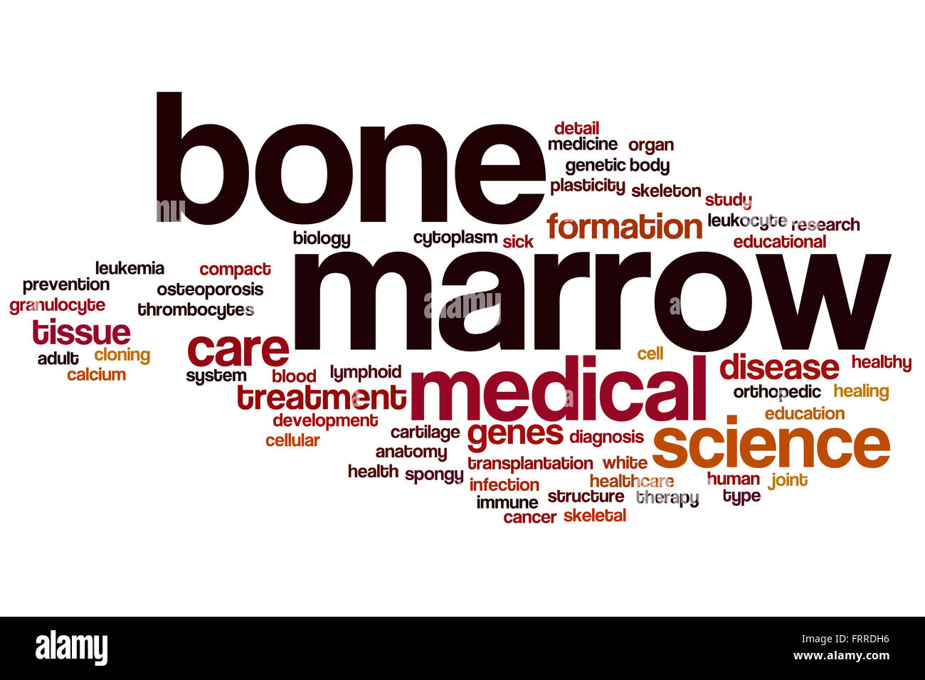 Bone marrow word cloud concept Stock Photo - Alamy