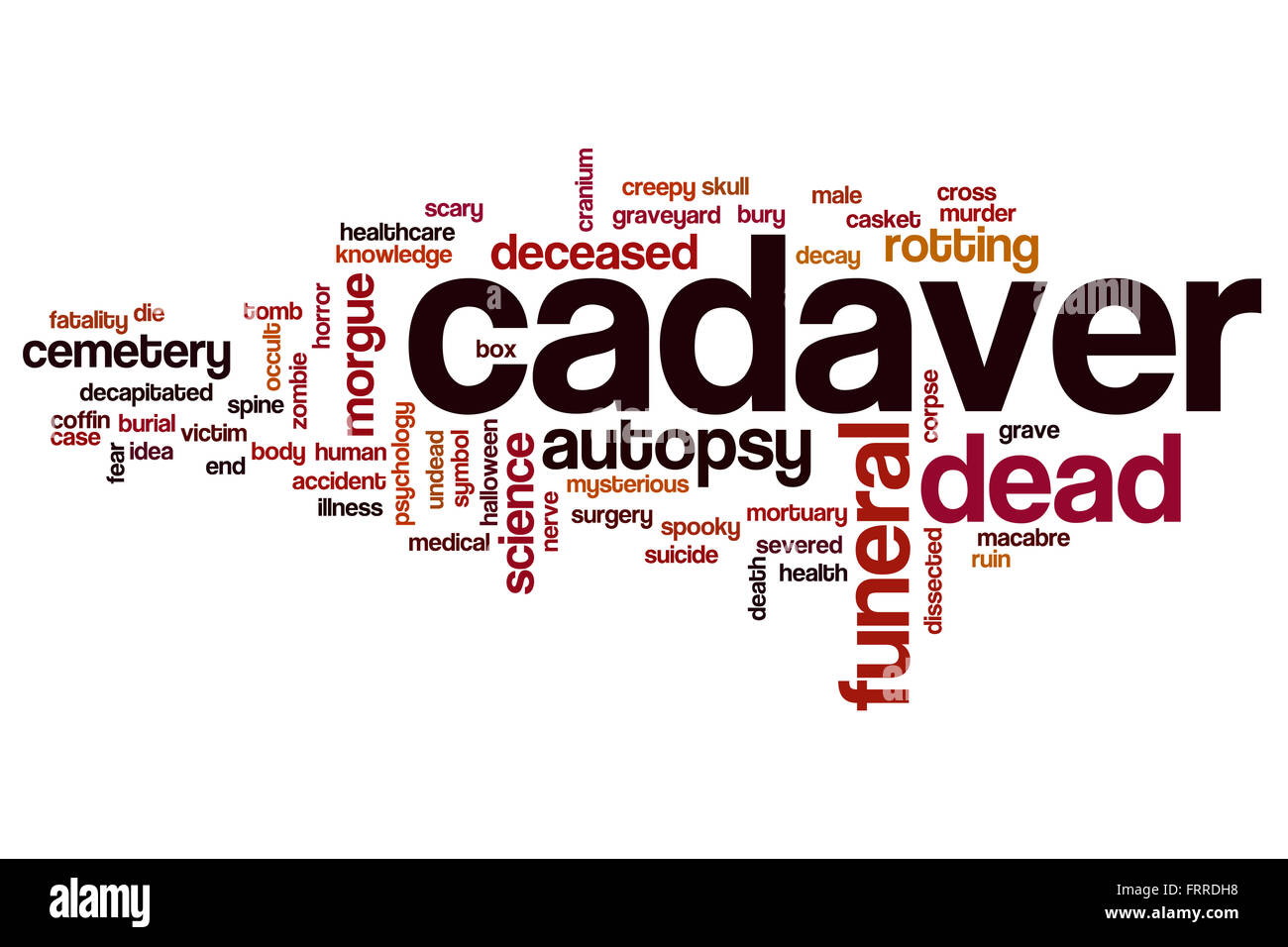 Cadaver body hi-res stock photography and images - Alamy