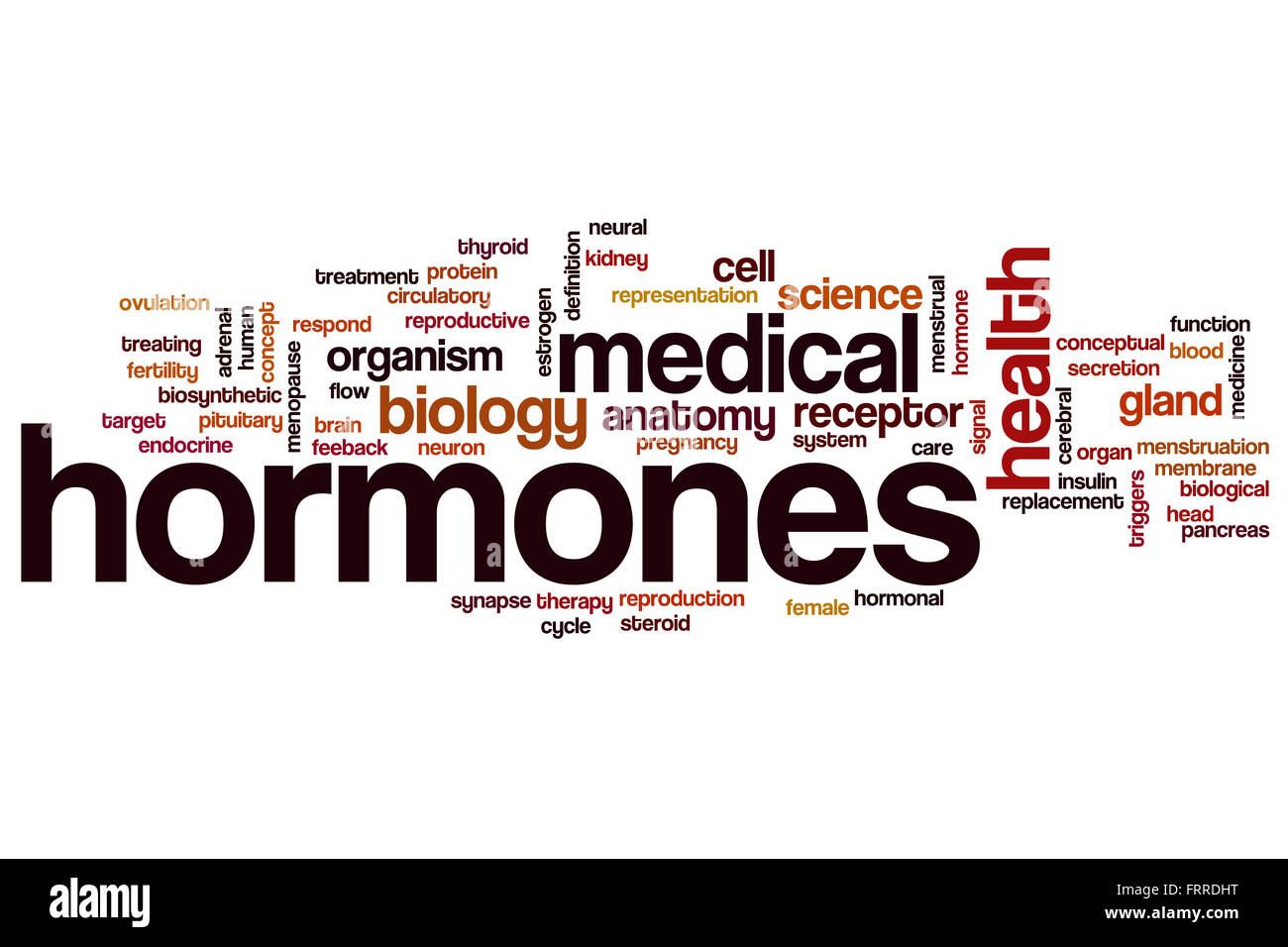 Hormones word cloud concept Stock Photo - Alamy