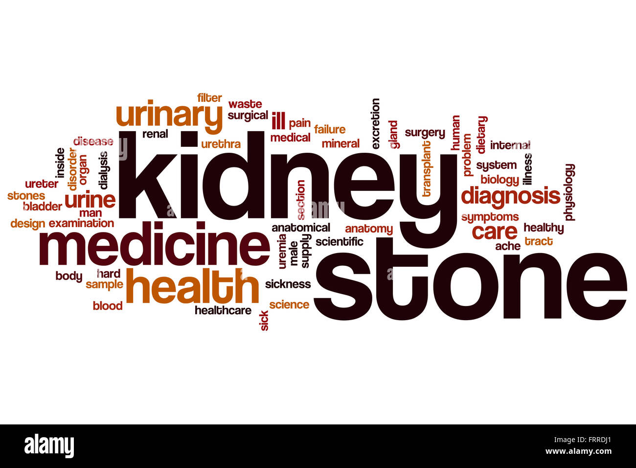 Kidney stone word cloud concept Stock Photo - Alamy