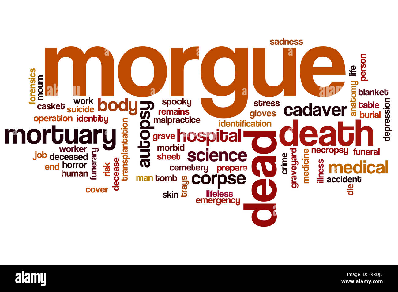Morgue word cloud concept Stock Photo - Alamy