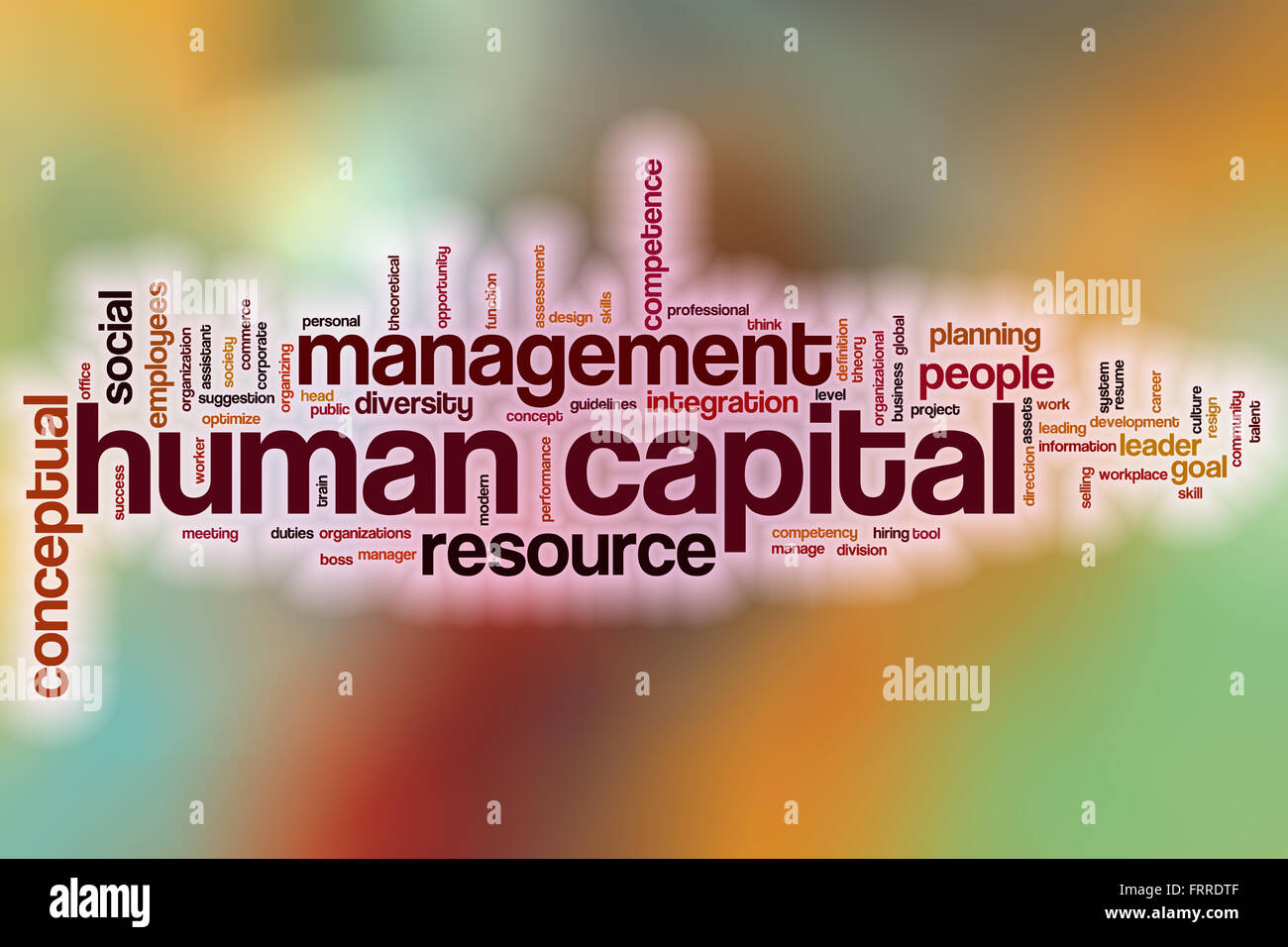Human Capital Formation
