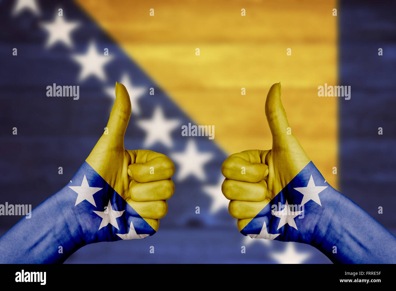 Bosnia and Herzegovina flag painted on female hands thumbs up with ...