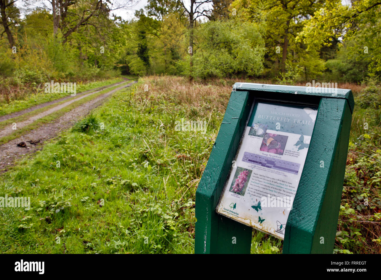 Information Board Uk Woodland High Resolution Stock Photography and ...