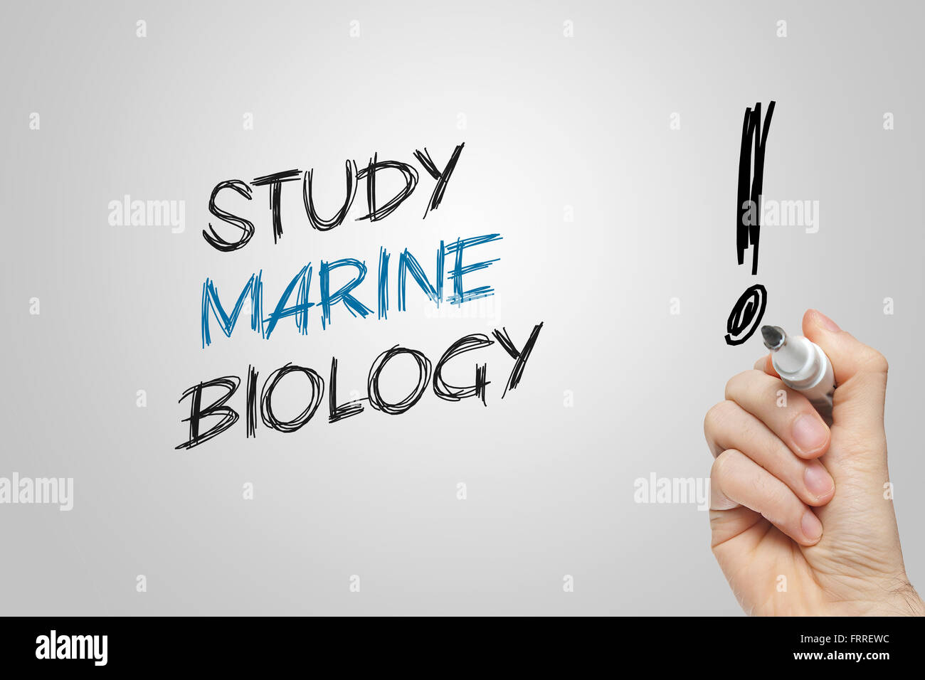 Hand writing study marine biology on grey background Stock Photo - Alamy