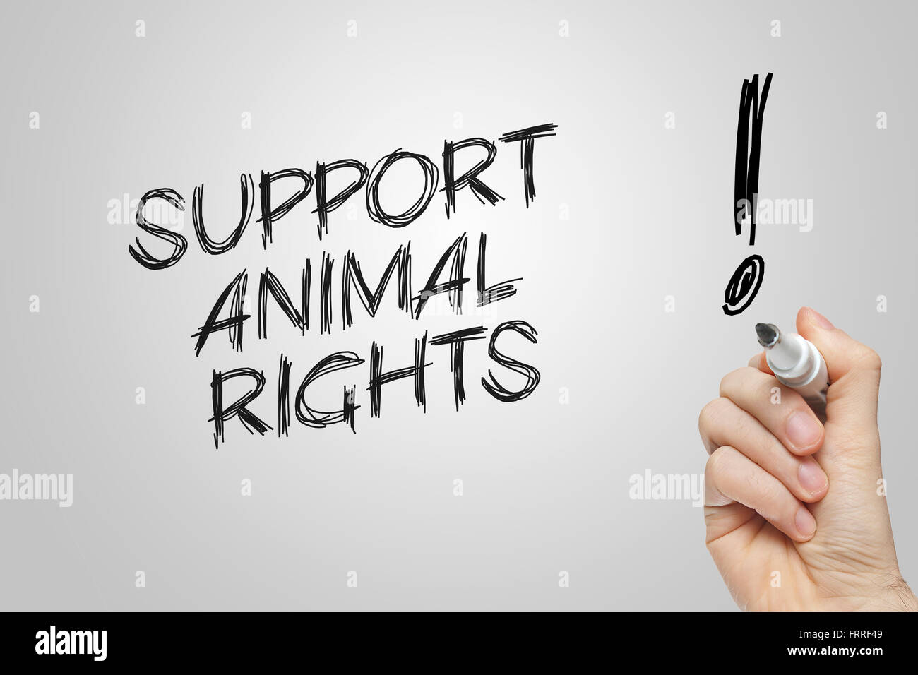 Hand writing support animal rights on grey background Stock Photo - Alamy