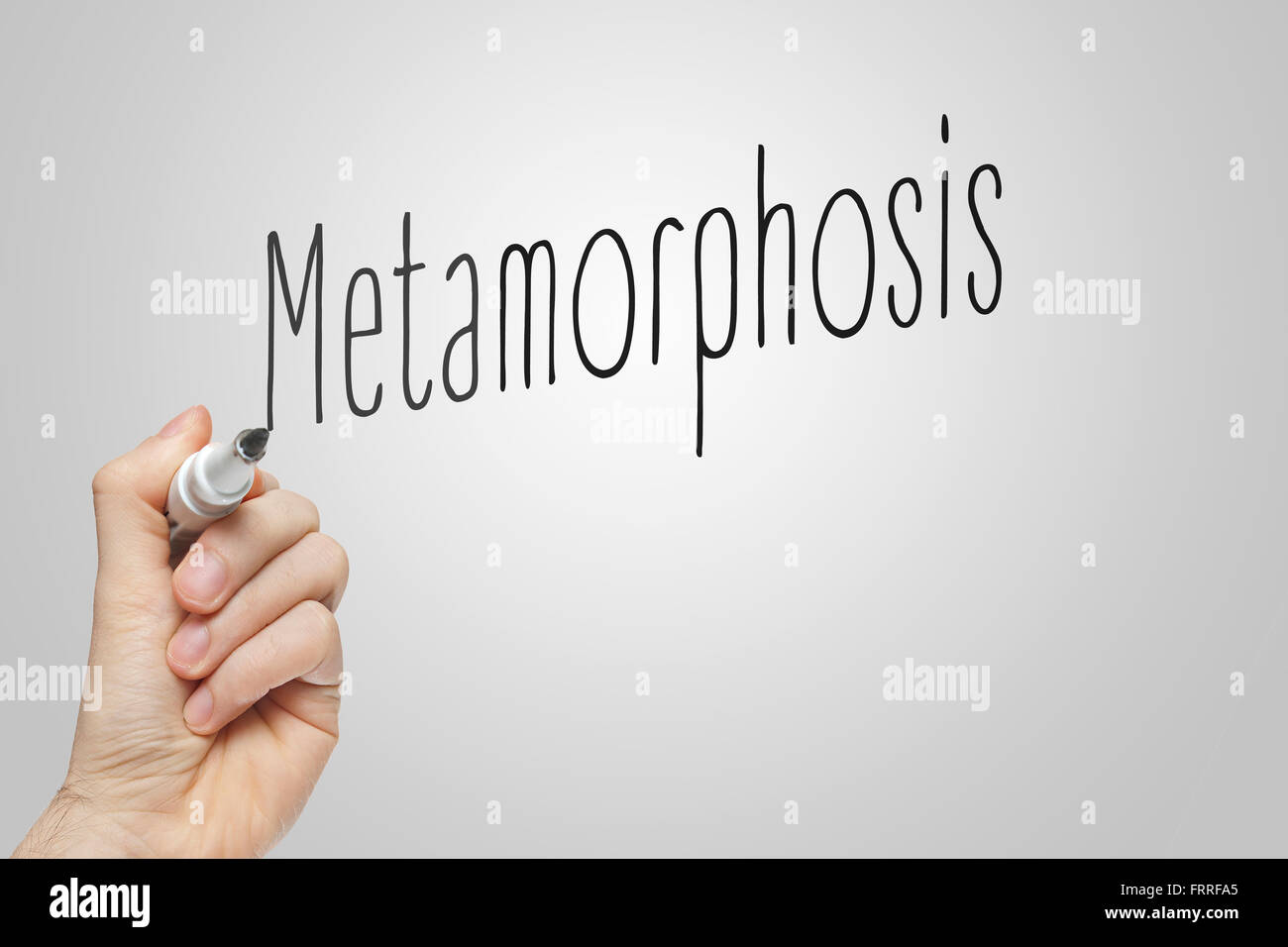 Hand writing metamorphosis on grey background Stock Photo - Alamy