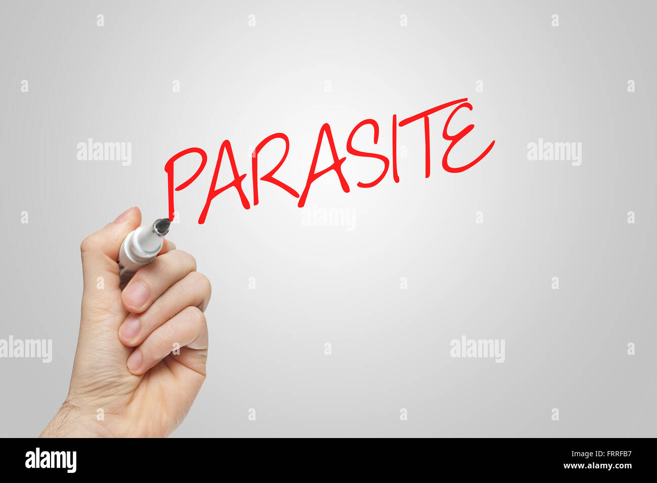 Hand writing parasite on grey background Stock Photo - Alamy