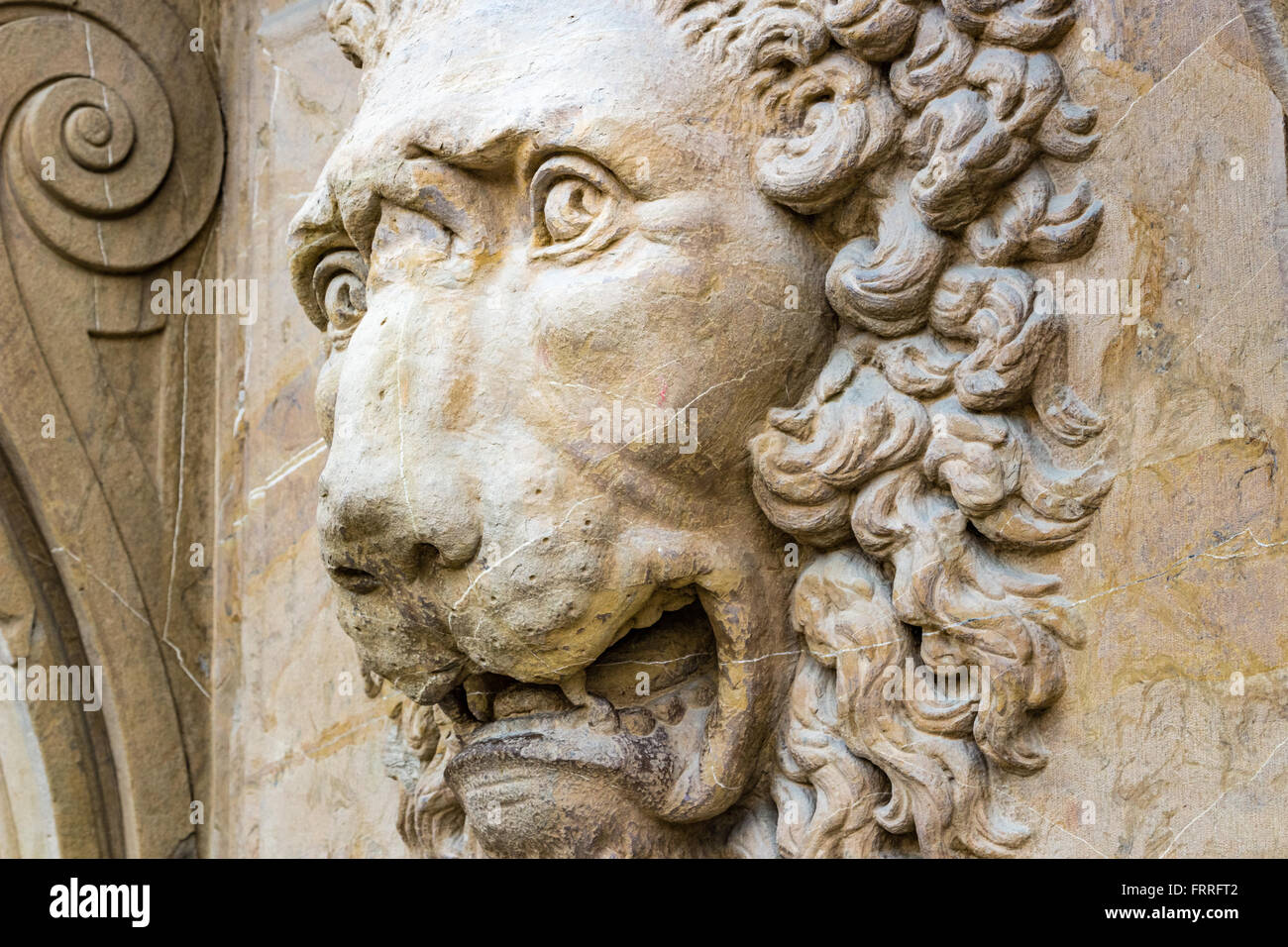 head of roaring lion in medieval sculpture Stock Photo - Alamy