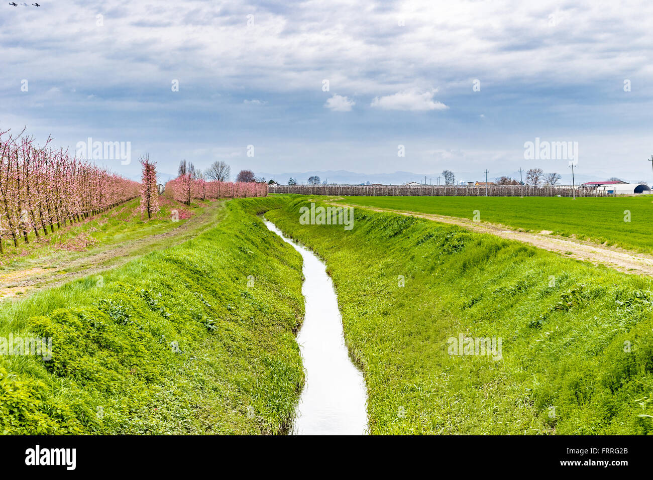 irrigation channel passing through cultivated fields in Italy Stock ...