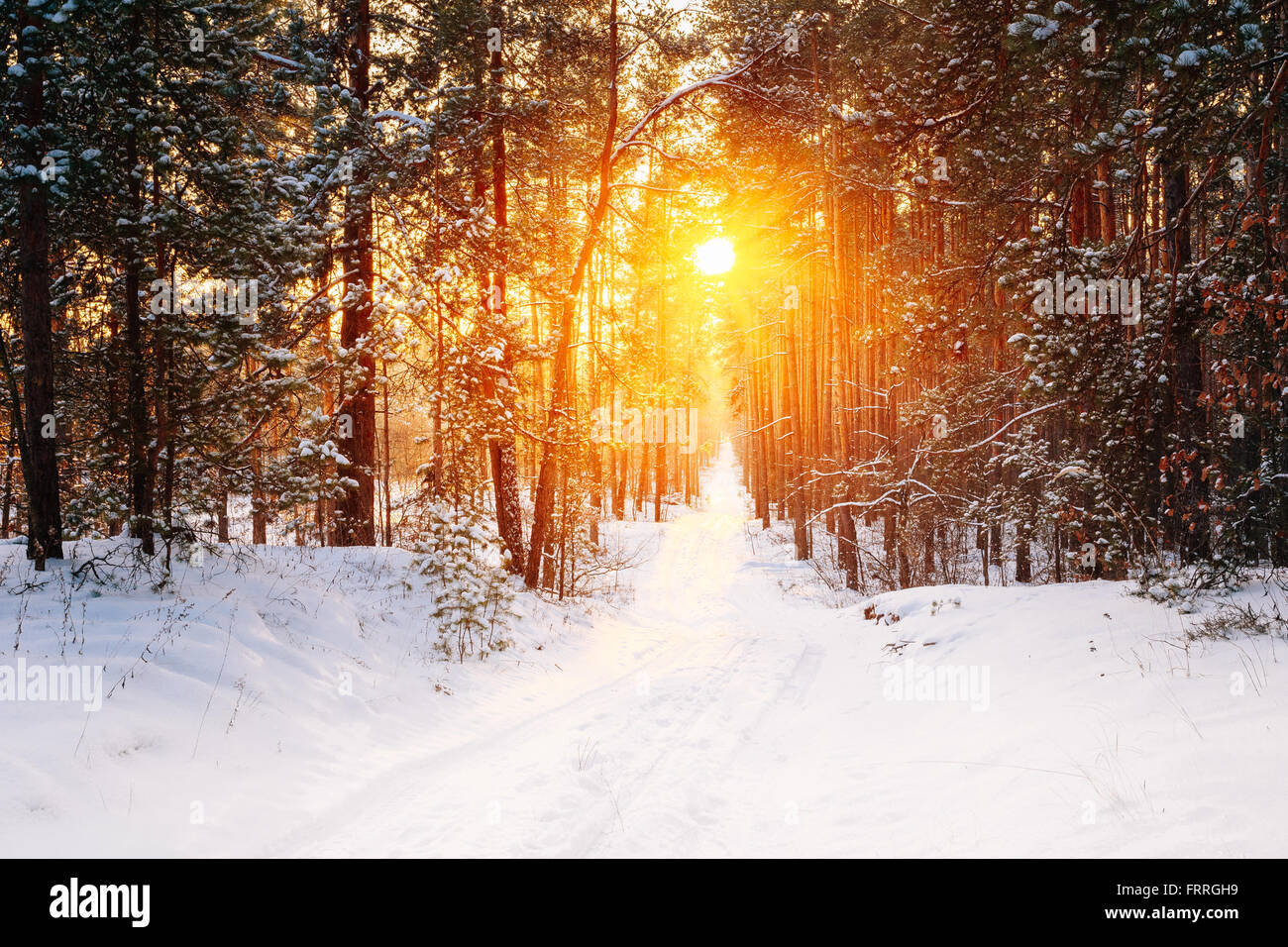 Amazing Beautiful sunset sunrise sun sunshine in sunny winter snowy ...