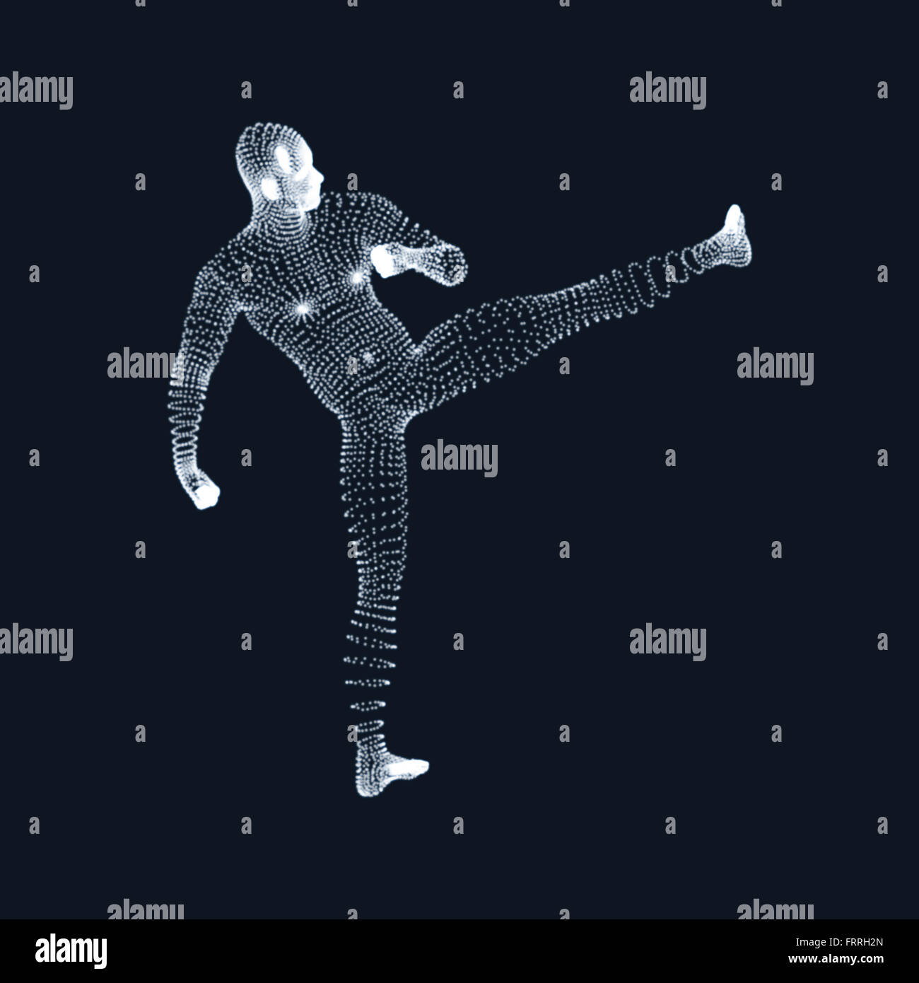 Fighting Man. 3D Model of Man. Human Body Model. Body Scanning. View of ...