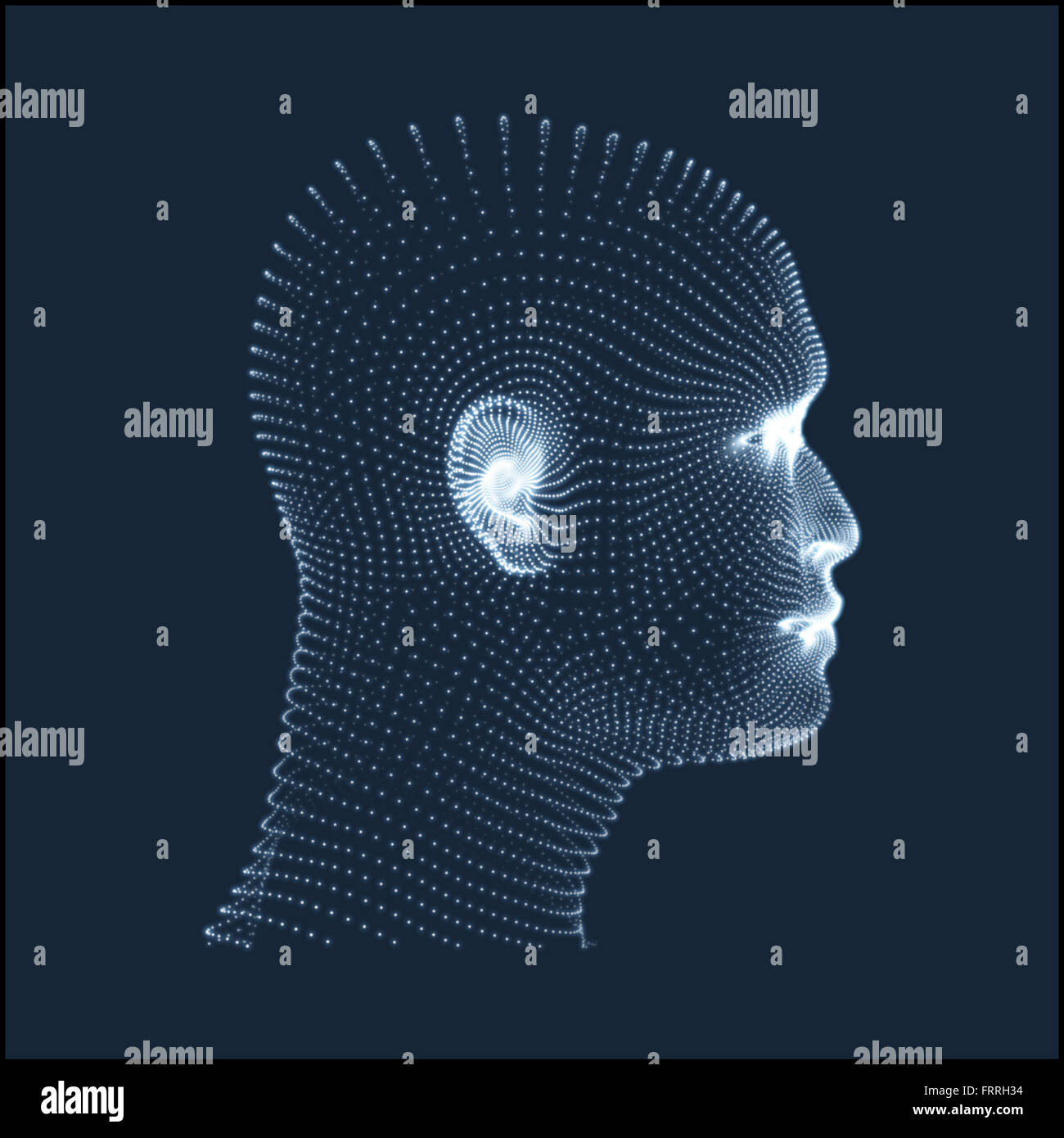 Head of the Person from a 3d Grid. Human Head Model. Face Scanning ...