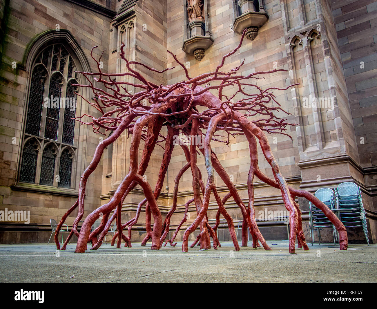 Tree Roots Sculpture