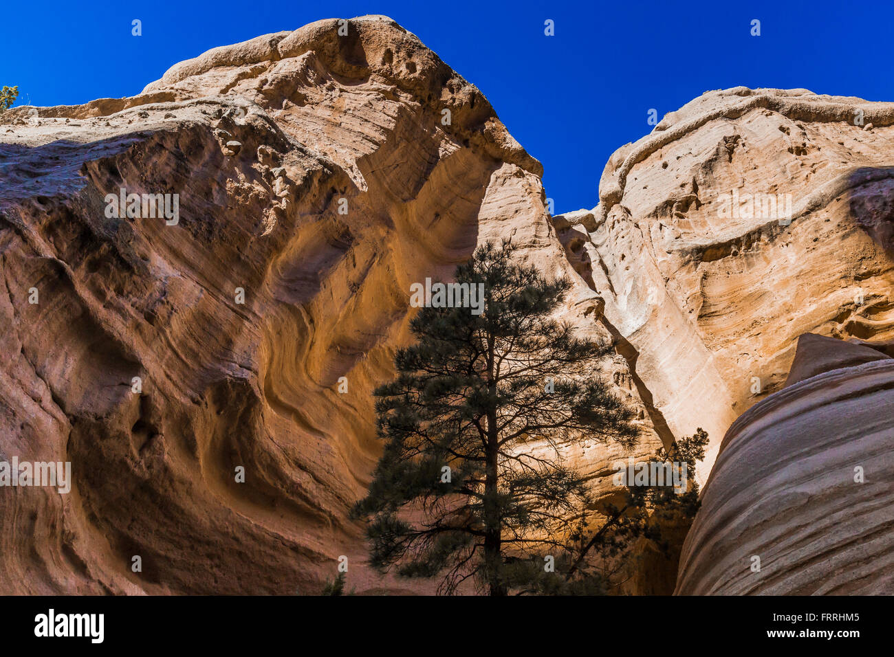 Cross-bedded layers of Peralta Tuff along the Slot Canyon Trail at ...