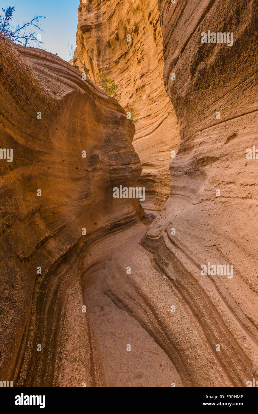 Cross-bedded layers of Peralta Tuff along the Slot Canyon Trail at ...