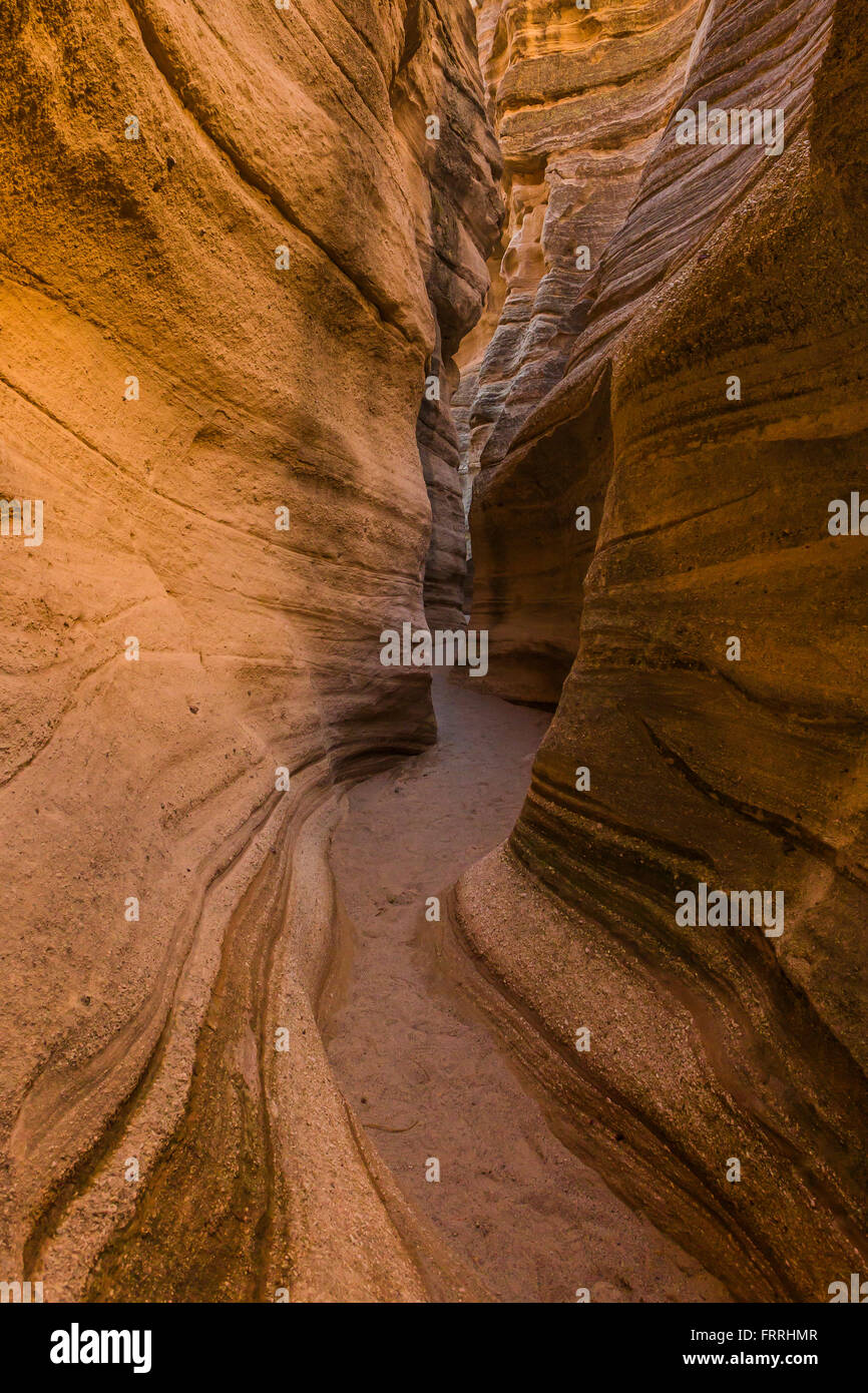 Cross-bedded layers of Peralta Tuff along the Slot Canyon Trail at ...